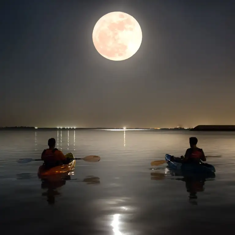 Full Moon Kayak Tour in Eastern Mangrove - DubaiThingsToDo