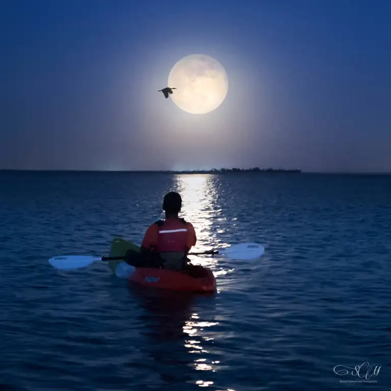 Full Moon Kayak Tour in Eastern Mangrove - DubaiThingsToDo