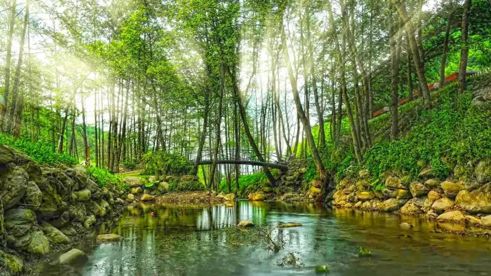 Daily Sapanca and Masukiye Tour: Full-Day Trip From Istanbul ...