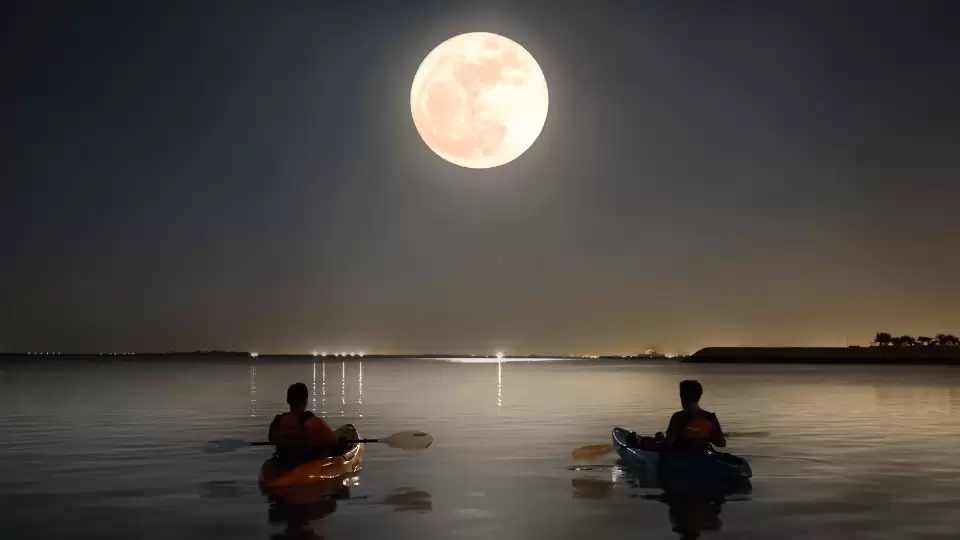 Full Moon Kayak Tour in Eastern Mangrove - DubaiThingsToDo