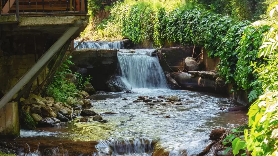 Istanbul: Day Trip to Scenic Sapanca, Masukiye and Kartepe ...